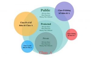 OOP Là Gì? Chi Tiết Kiến Thức Dễ Hiểu Về Lập Trình OOP